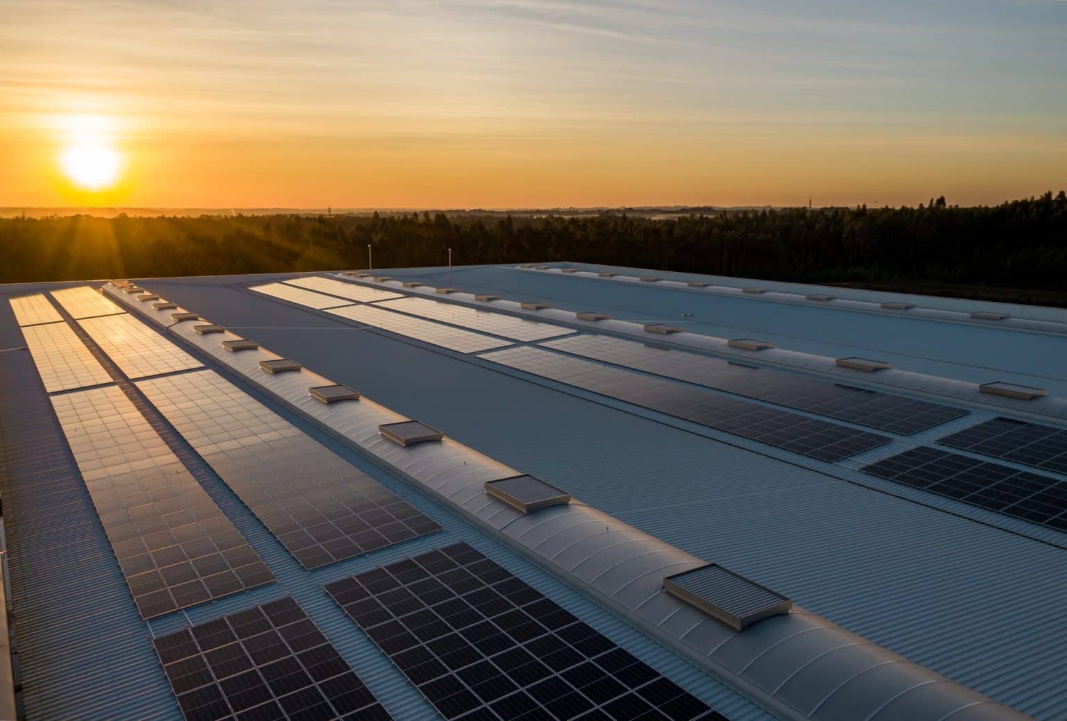 Pioneering Sustainability: Apple's Commitment to Using 100% Recycled ...