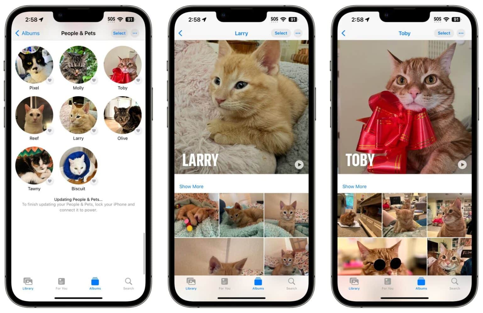 iOS 17 Enhances Photos App to Recognize Pets - AppleMagazine