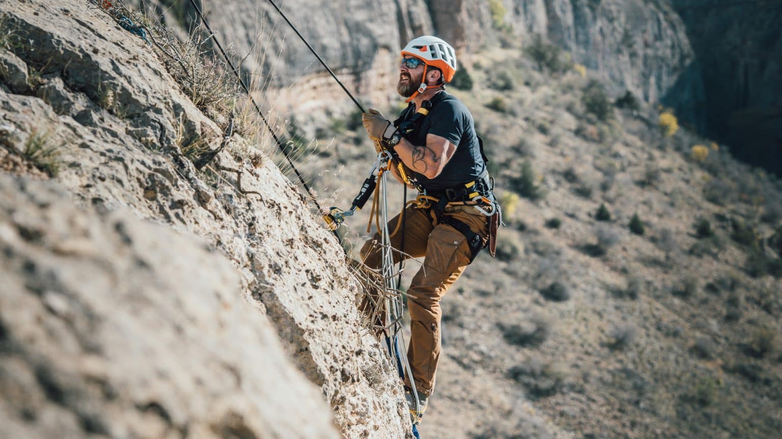The Wild Ones on Apple TV+: A Cinematic Quest to Save Endangered ...