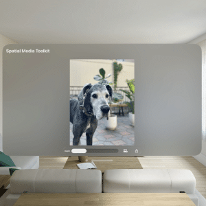 Immersive Memories: Capturing and Viewing Spatial Photos and Videos ...