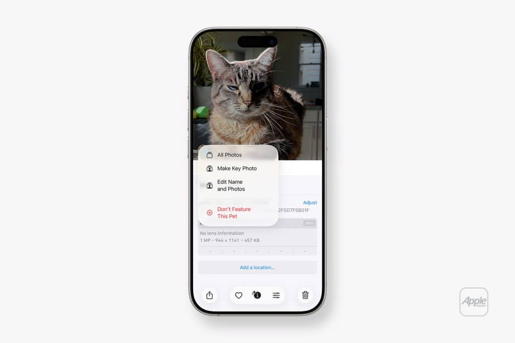 Find People and Pets in Photos: How Apple Intelligence Organizes Your ...